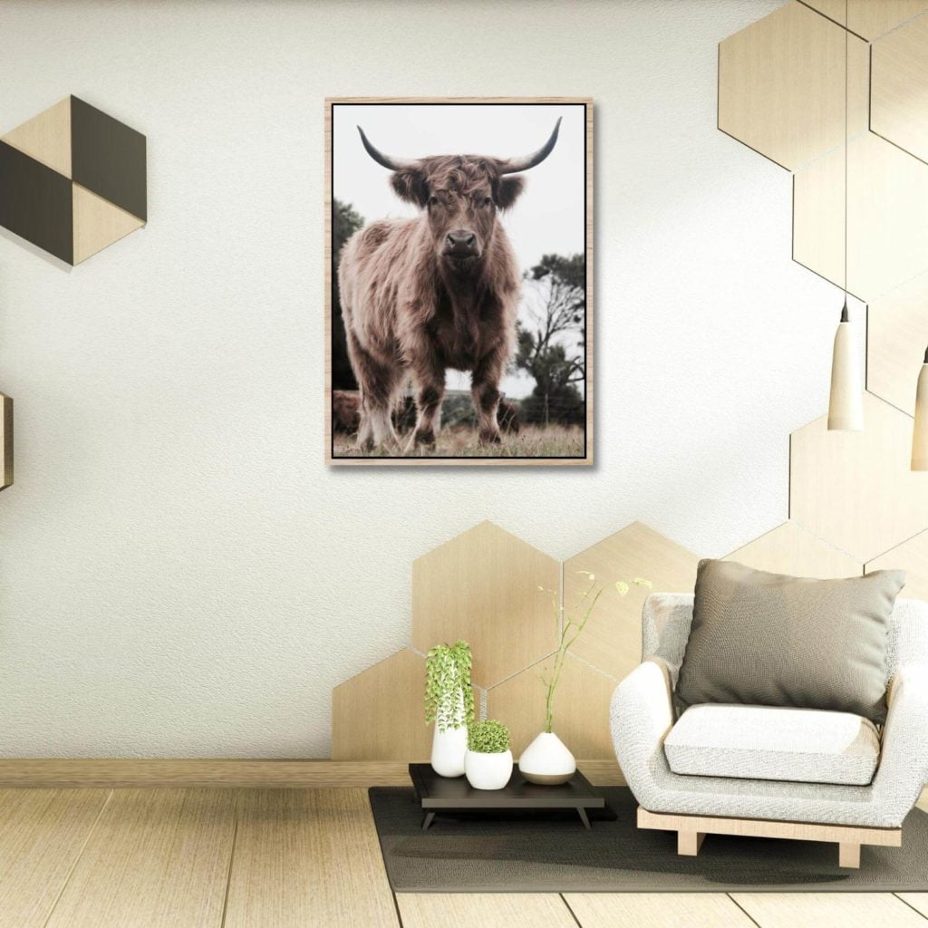 Highland Cow Stare - MEM Prints