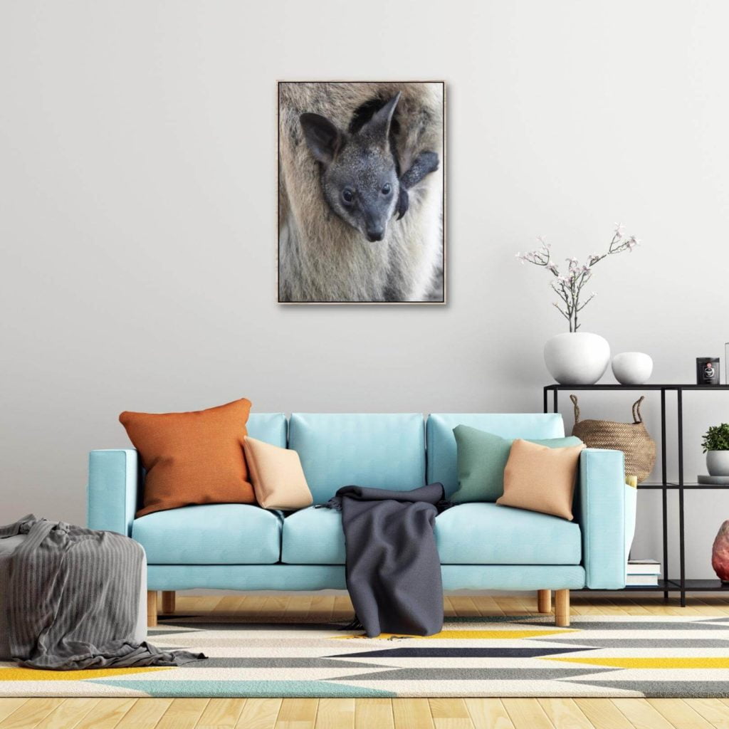 Joey in Pocket - MEM Prints