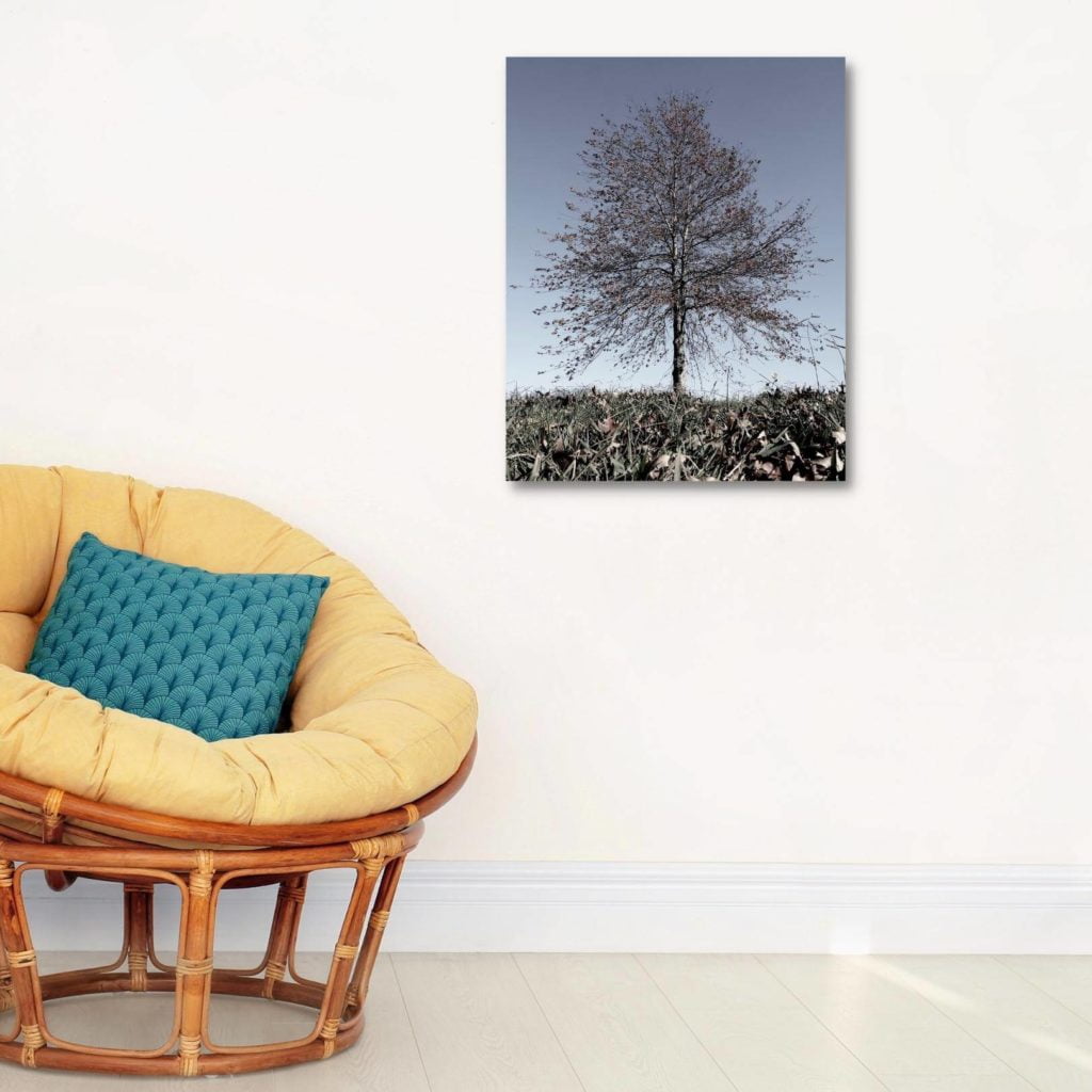 Tree in Fall - MEM Prints